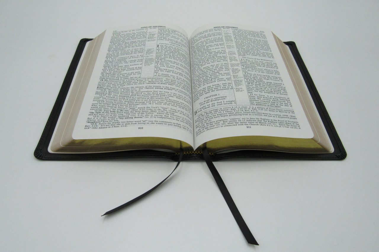 Bible Baptist Bookstore: Handsize Ruckman Reference Bible (other ...